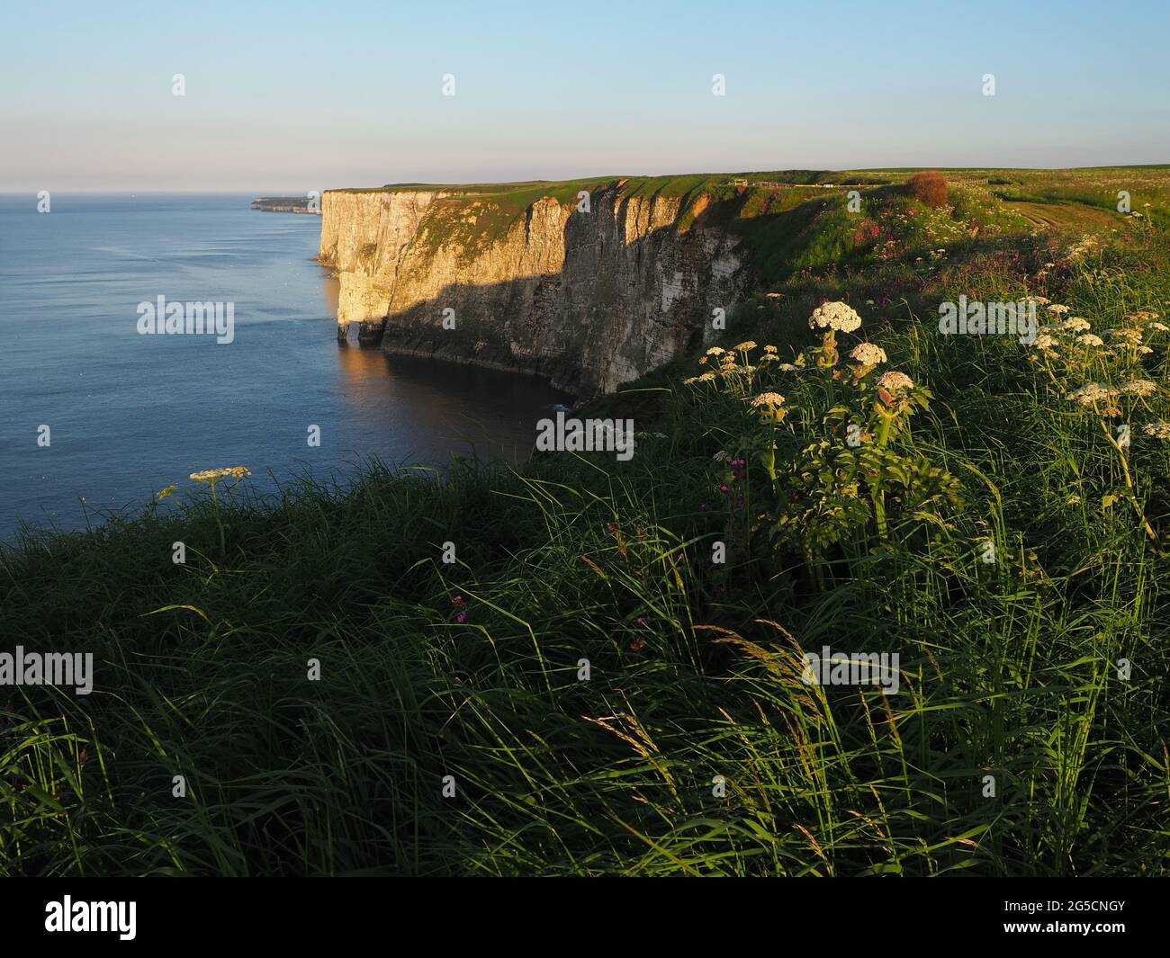 Bempton cliffs nature reserve hi-res stock photography and images - Alamy