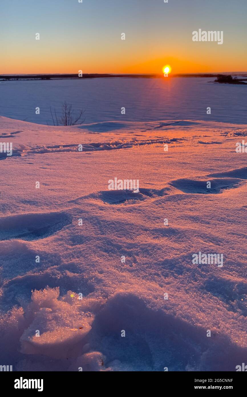 Sunset over the field covered with snow Stock Photo - Alamy