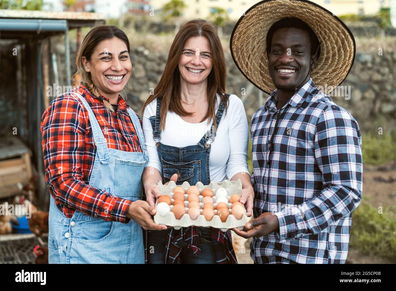 Happy farmers picking up fresh eggs in henhouse garden - Farm people ...