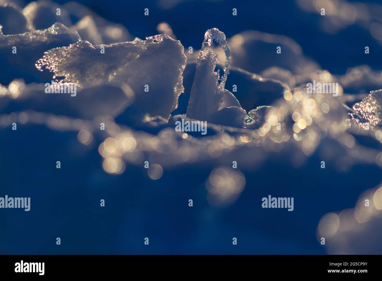 Snow melting in sunlight. Close up Stock Photo - Alamy