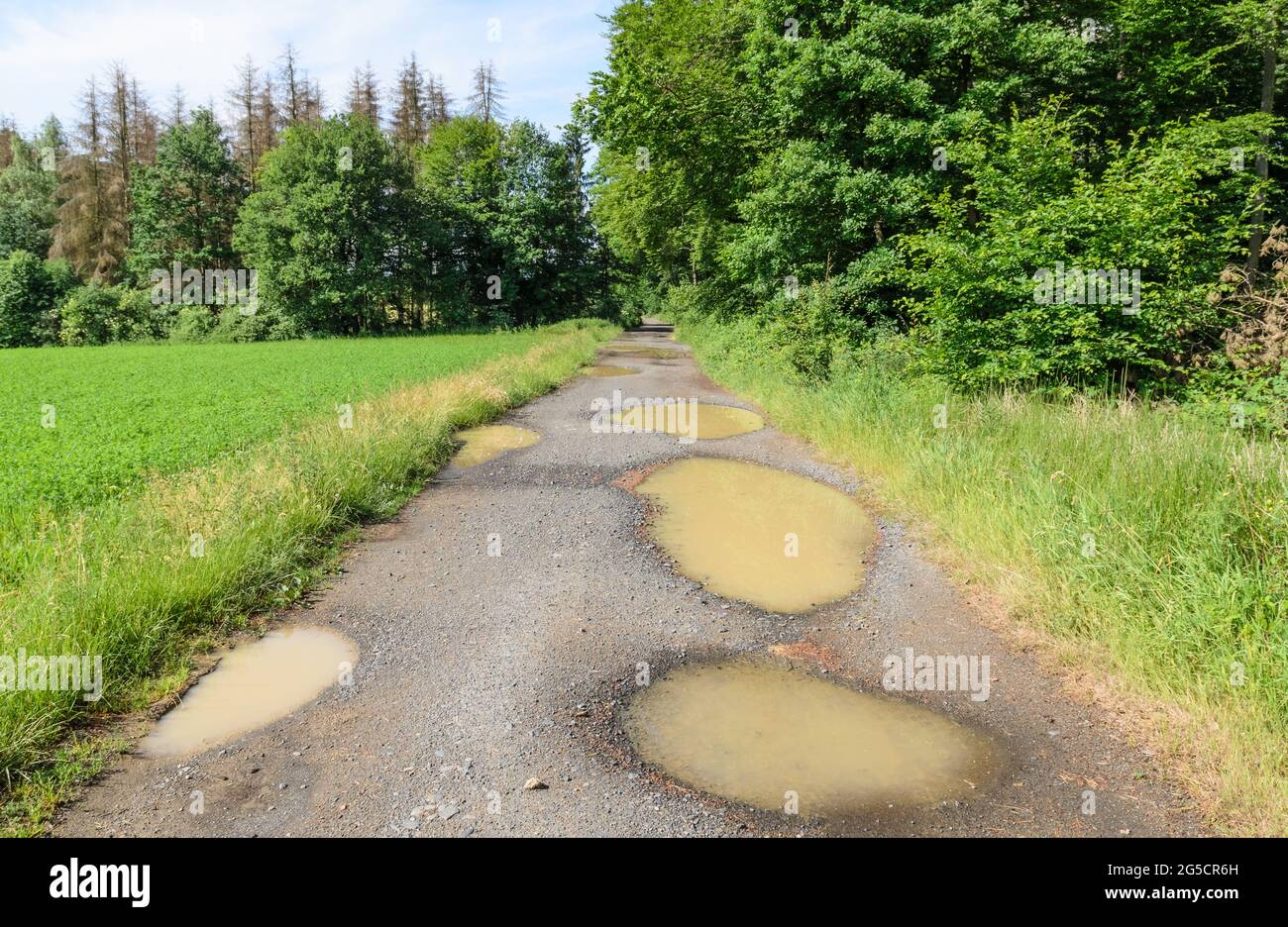 Water puddles water puddle hi-res stock photography and images - Alamy