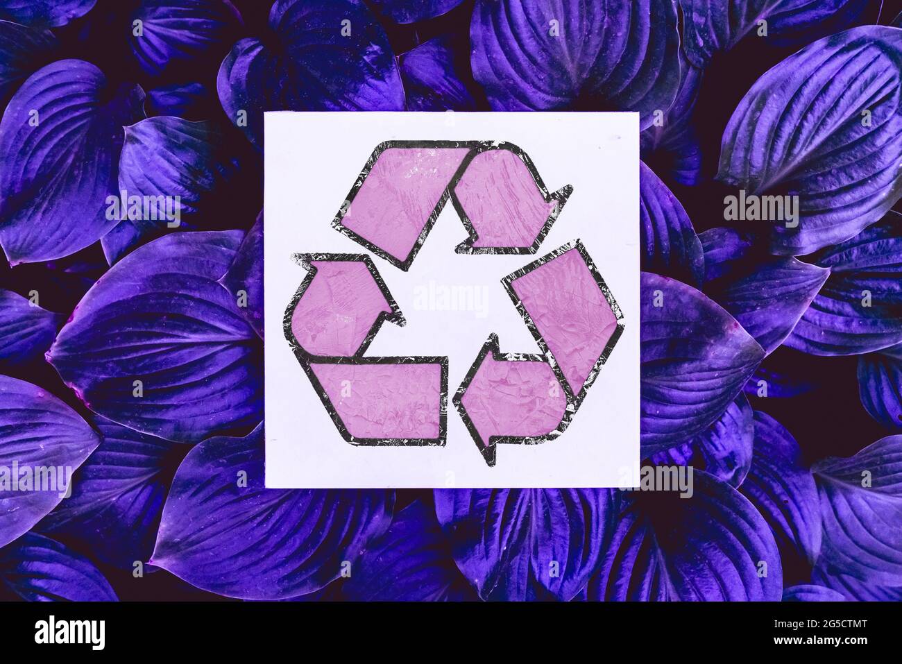 eco recycle sign icon on nature abstract background with leaves Stock ...