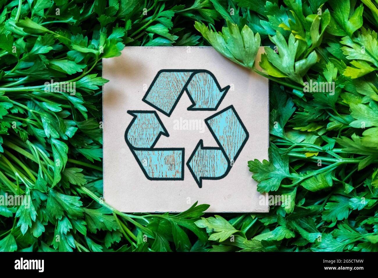 eco recycle sign icon on nature abstract background with leaves Stock ...