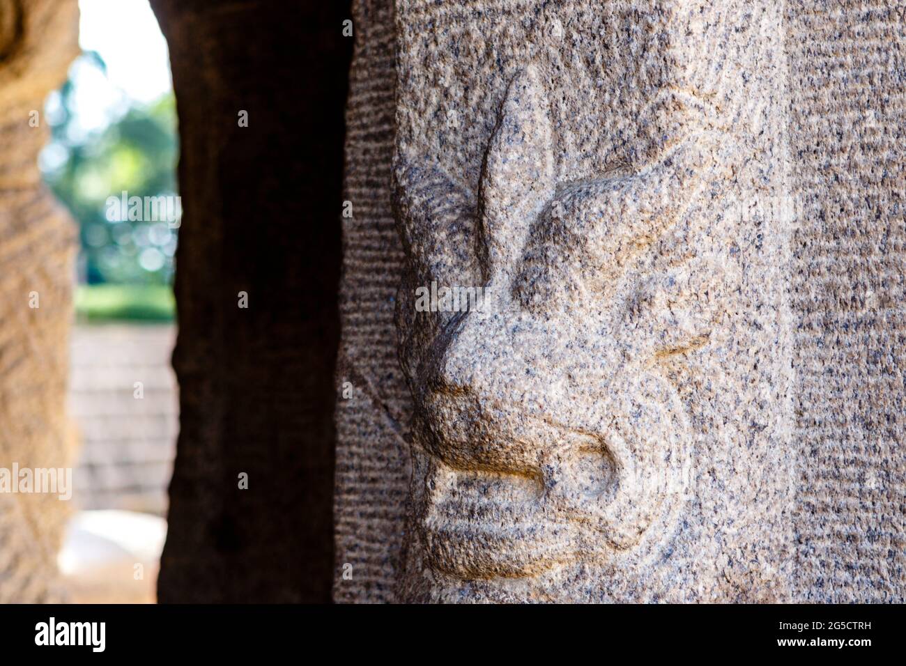 Columns with lion guards of the Bhima Ratha, one of the Pancha Rathas ...