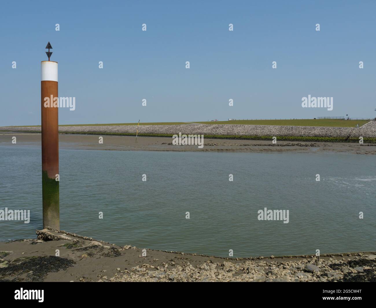 Hallig hooge horse hi-res stock photography and images - Alamy