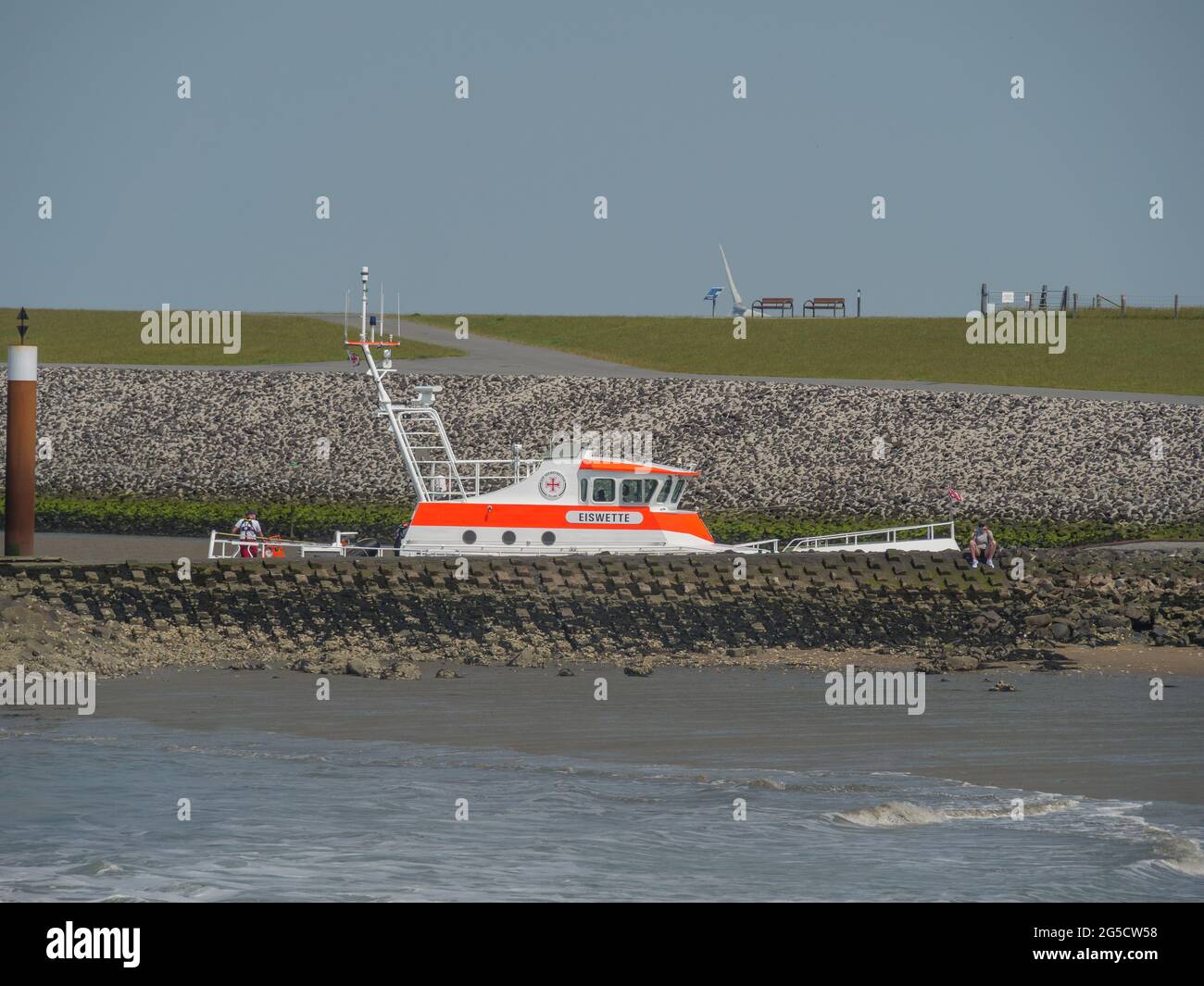Hallig hooge horse hi-res stock photography and images - Alamy