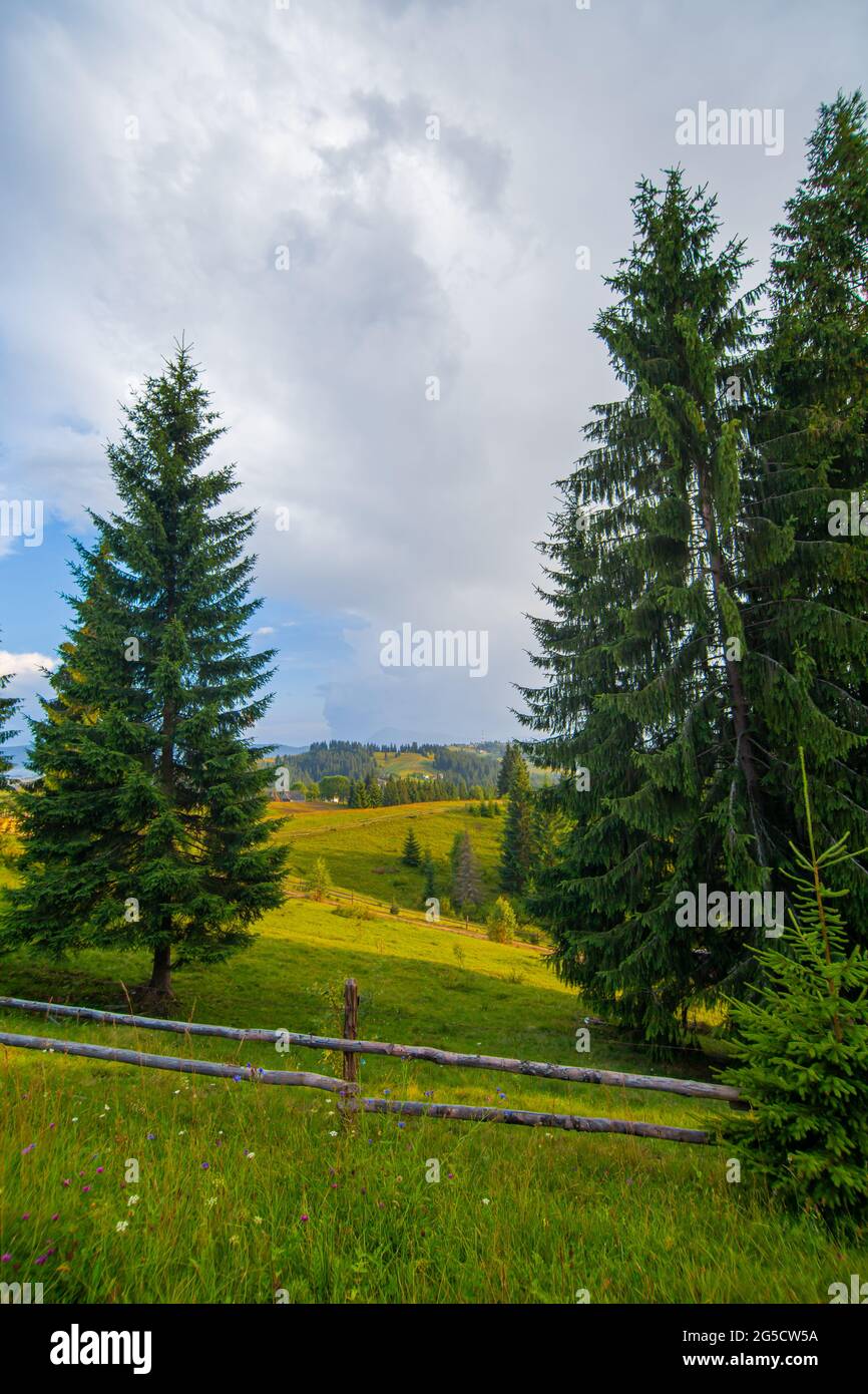 Mountain hills pure nature rural landscape. Fence from wooden logs ...