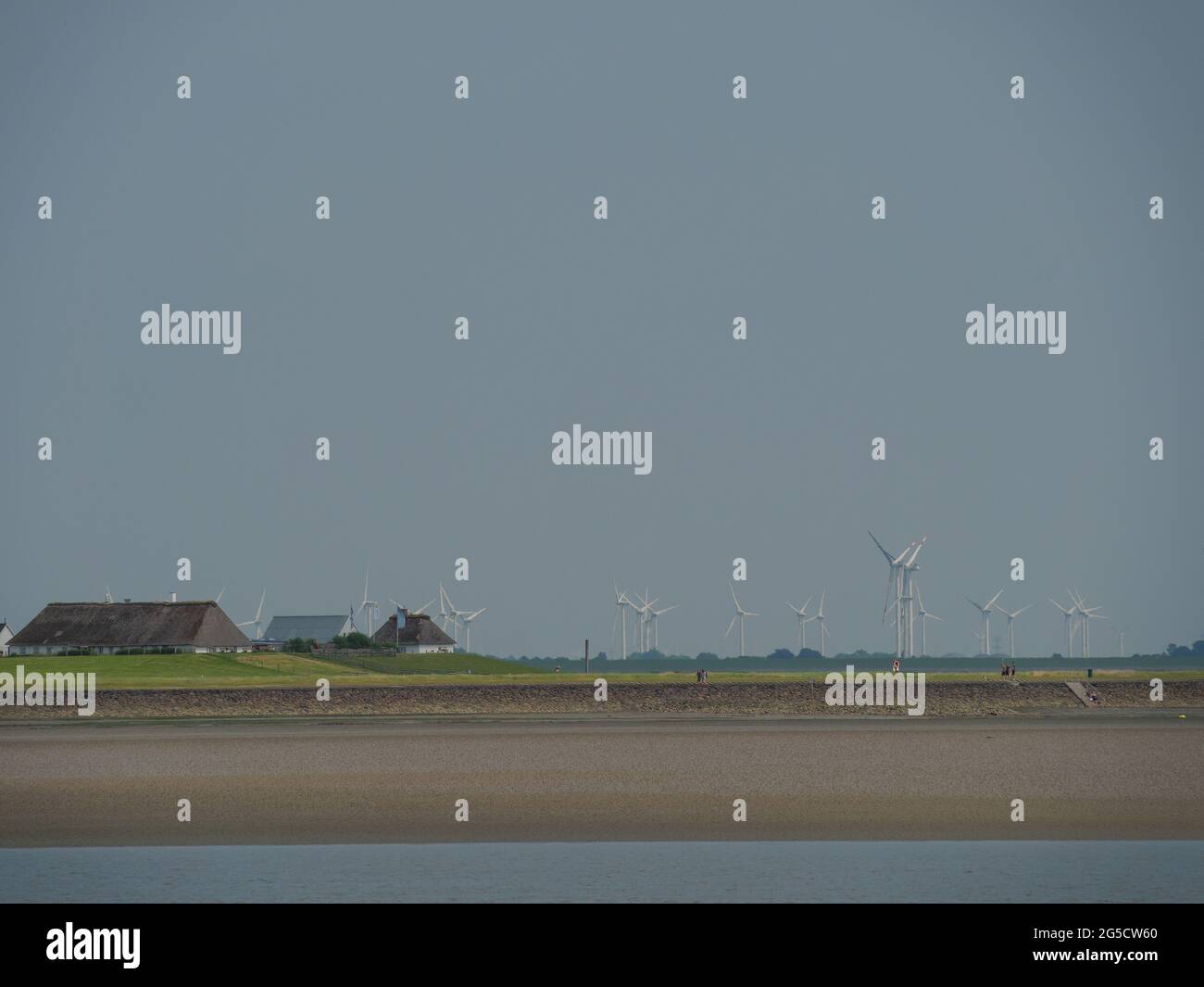 Hallig hooge horse hi-res stock photography and images - Alamy