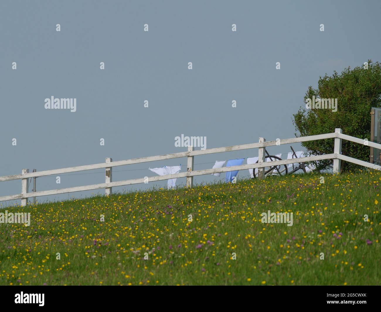 Hallig Hooge in the german north sea Stock Photo - Alamy