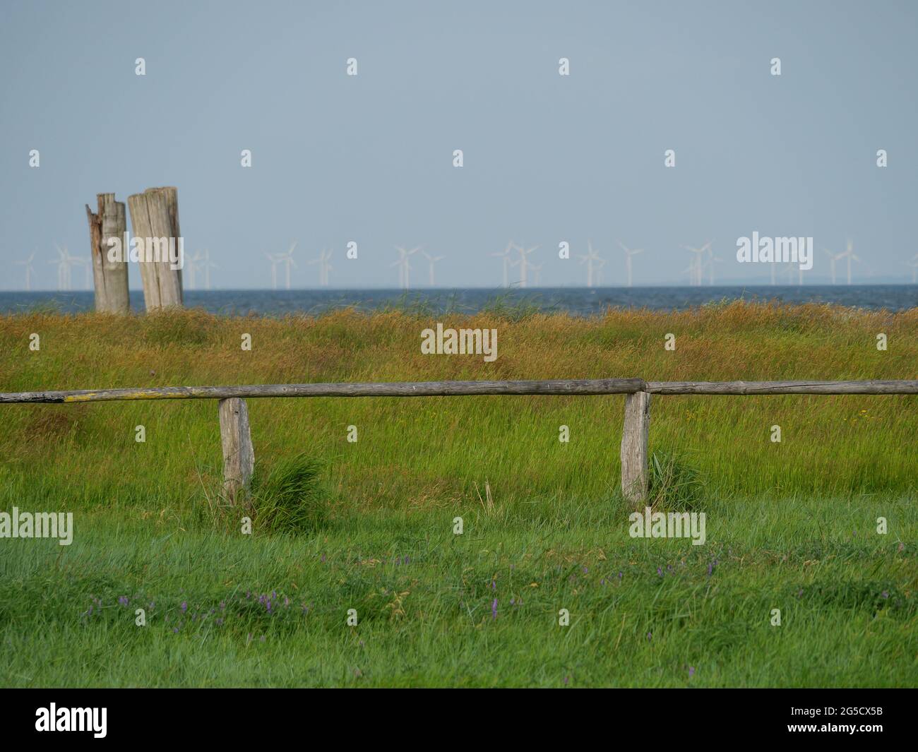 Hallig Hooge in the german north sea Stock Photo - Alamy