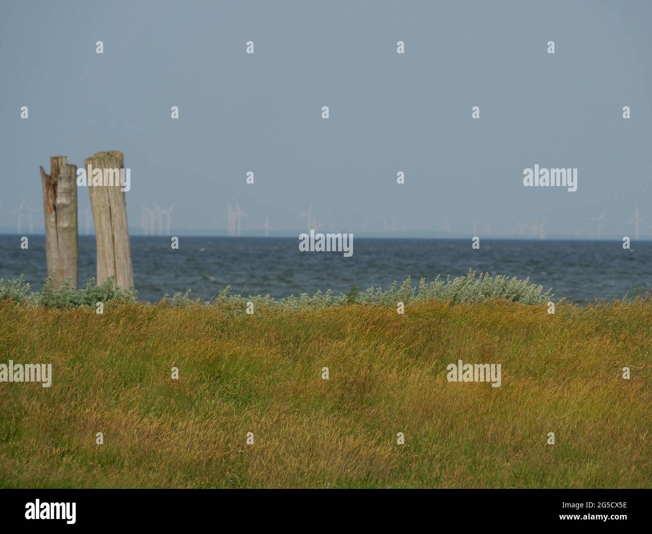 Hallig Hooge in the german north sea Stock Photo - Alamy