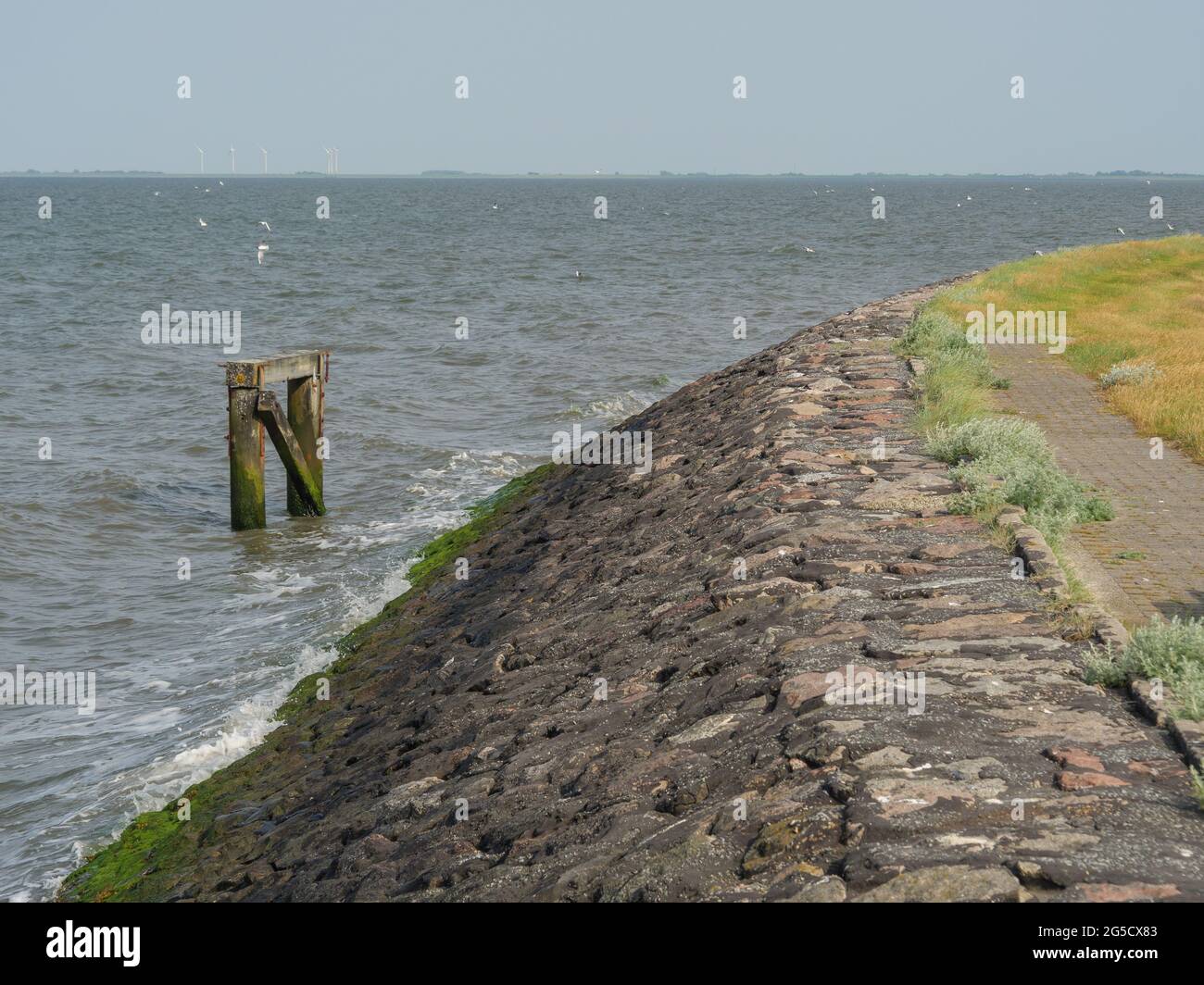 Hallig Hooge in the german north sea Stock Photo - Alamy