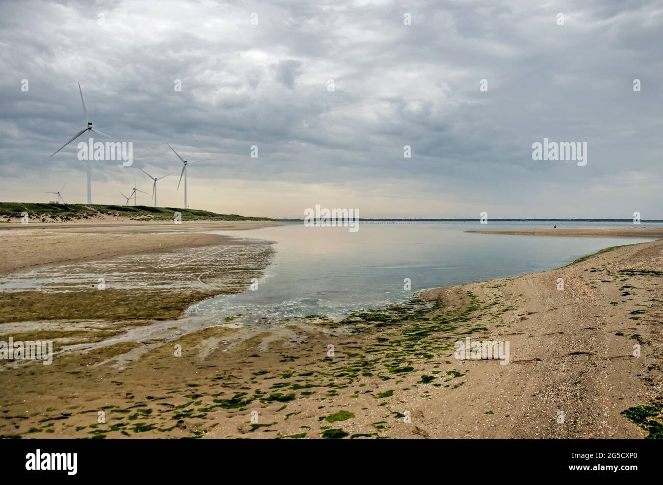 Wide sandy beach with shallow puddles and wind turbines under a ...