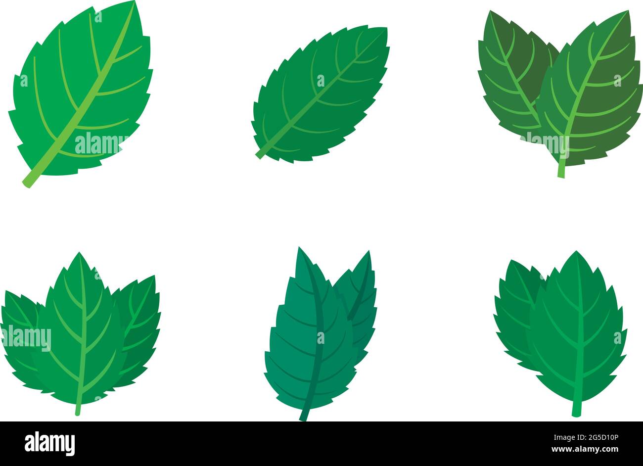 Mint icons set flat vector isolated Stock Vector Image & Art - Alamy