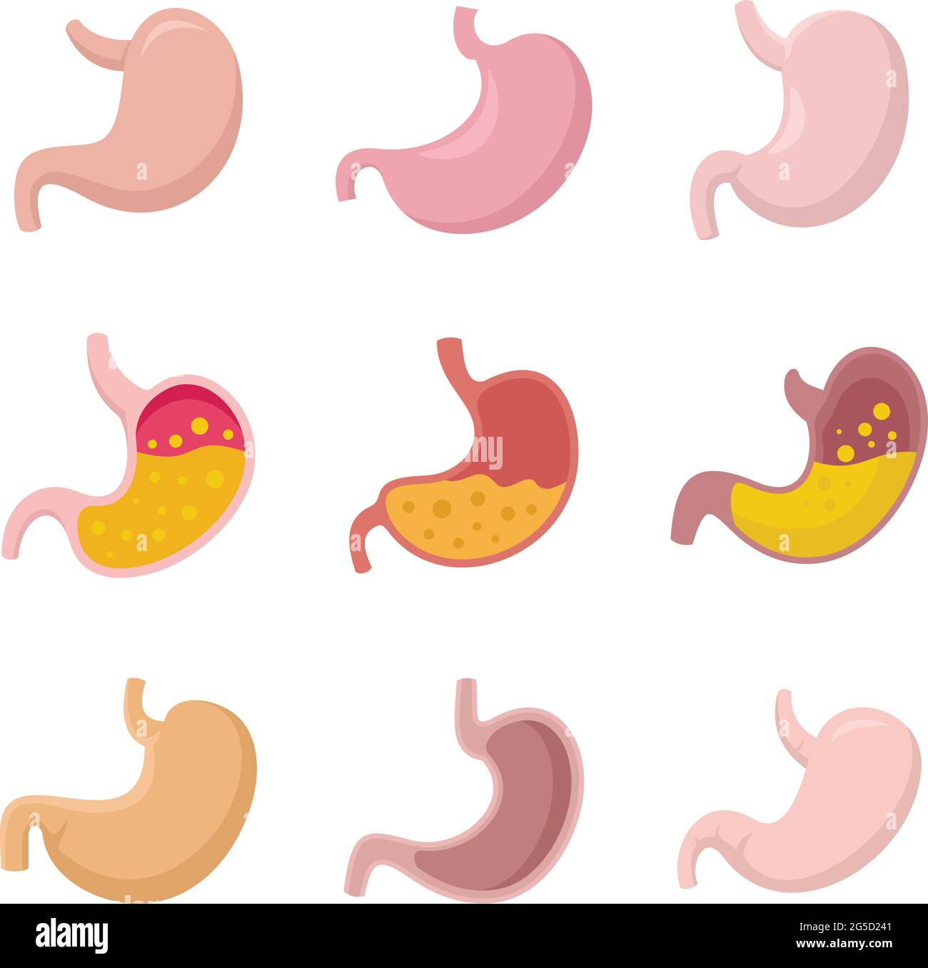 Stomach icons set flat vector isolated Stock Vector Image & Art - Alamy