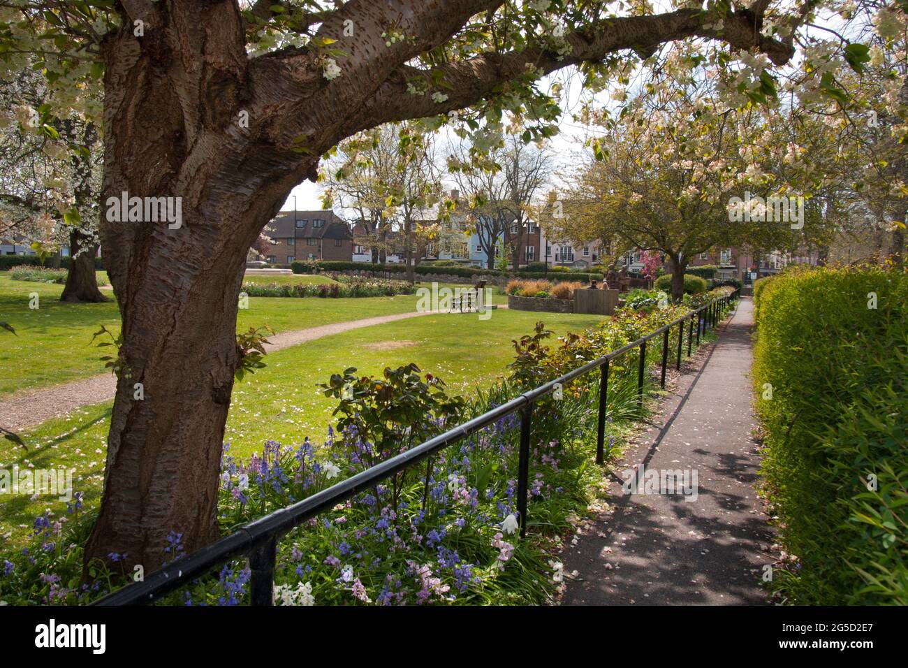 Litten gardens hi-res stock photography and images - Alamy