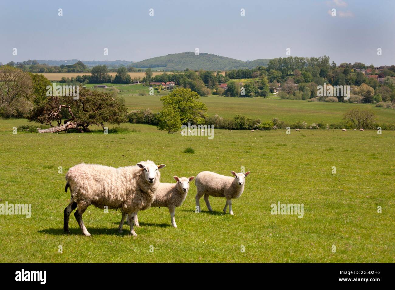 Fifehead hi-res stock photography and images - Alamy