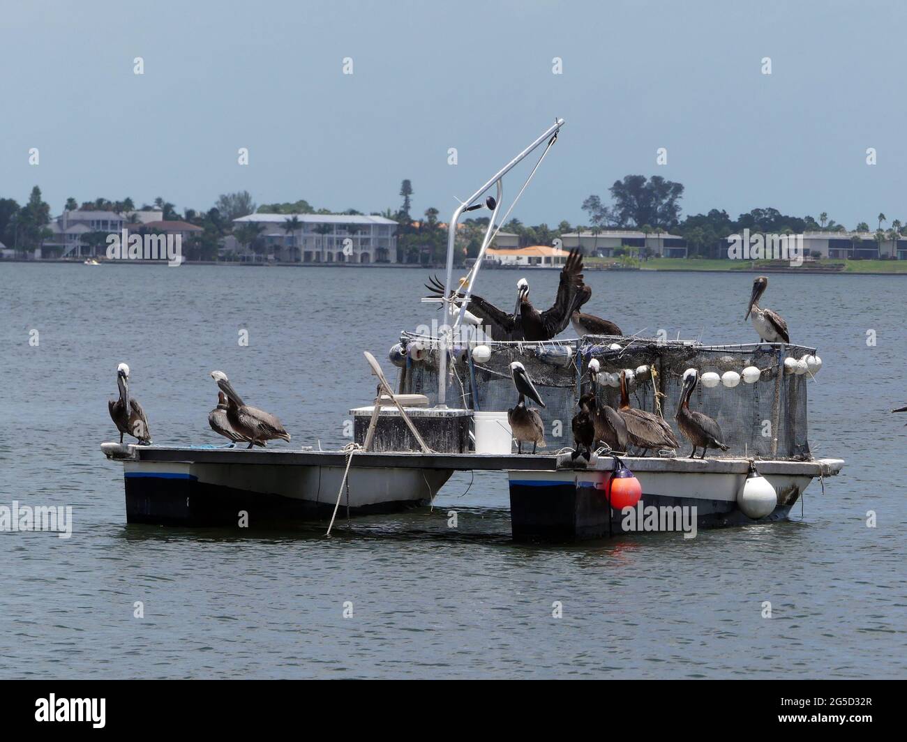 Leffis key anna maria island hi-res stock photography and images - Alamy