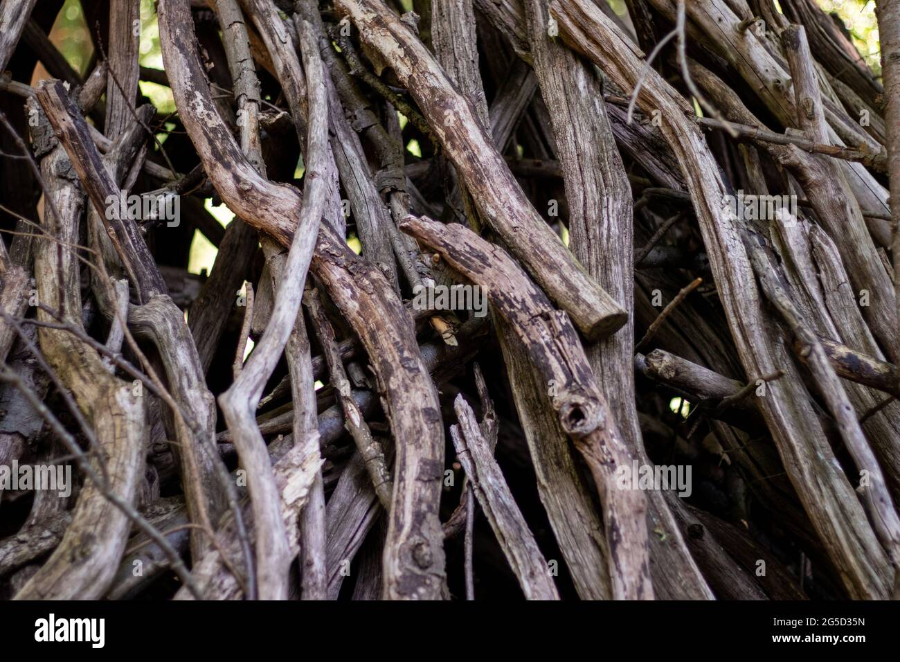 Old dry branches stacked to each other to form a hut - great as natural ...