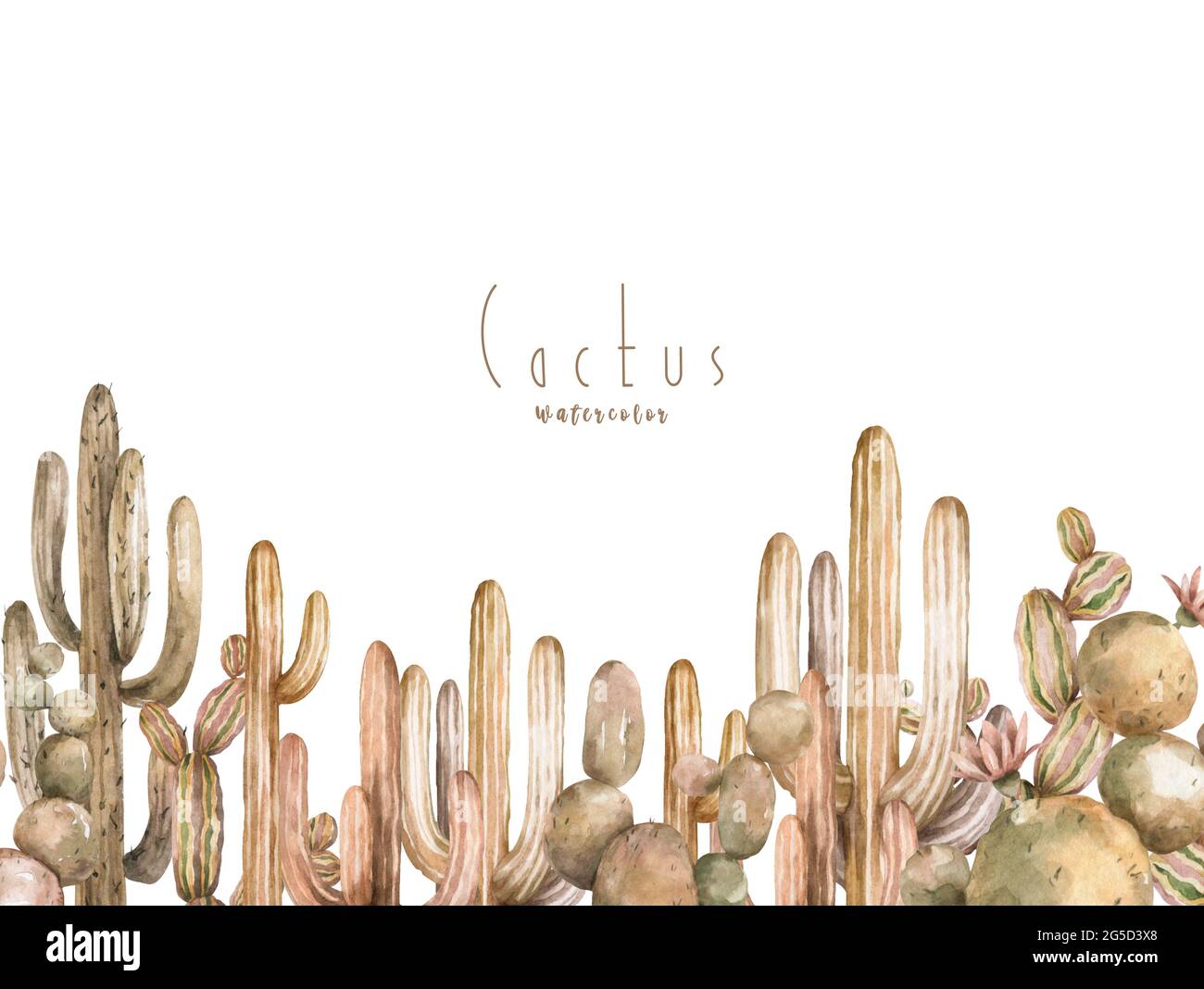 Banner, template for cards with cactuses . image of brown cacti frame ...