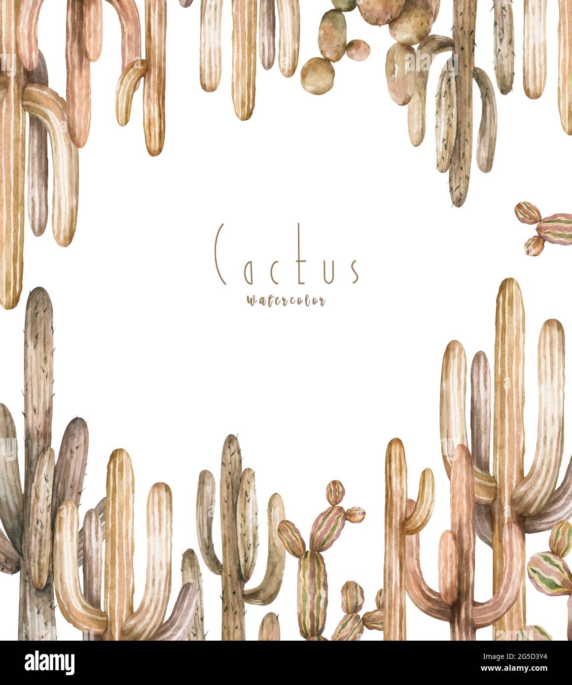 Banner, template for cards with cactuses . image of brown cacti frame ...