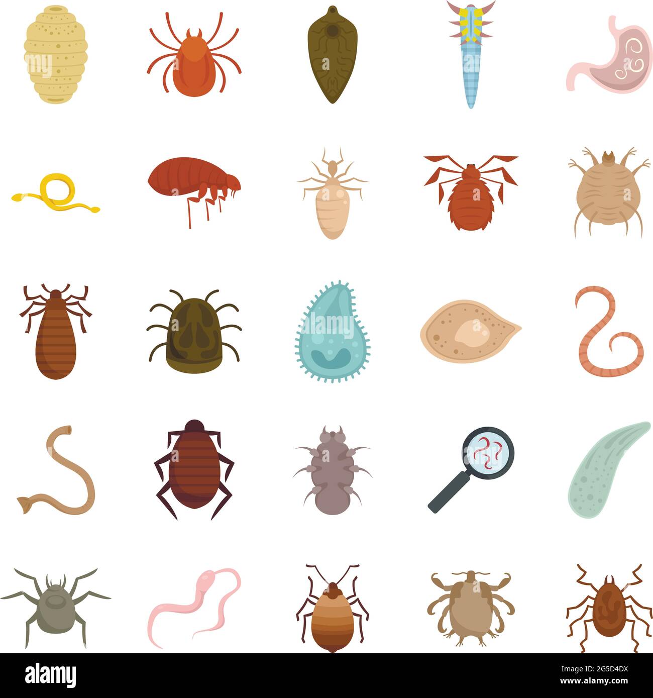 Parasite intestinal hi-res stock photography and images - Alamy