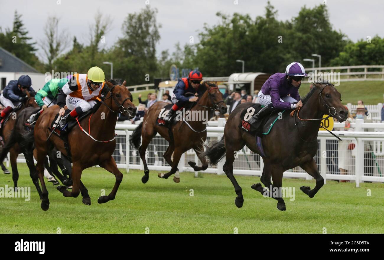 Go bears go horse hi-res stock photography and images - Alamy
