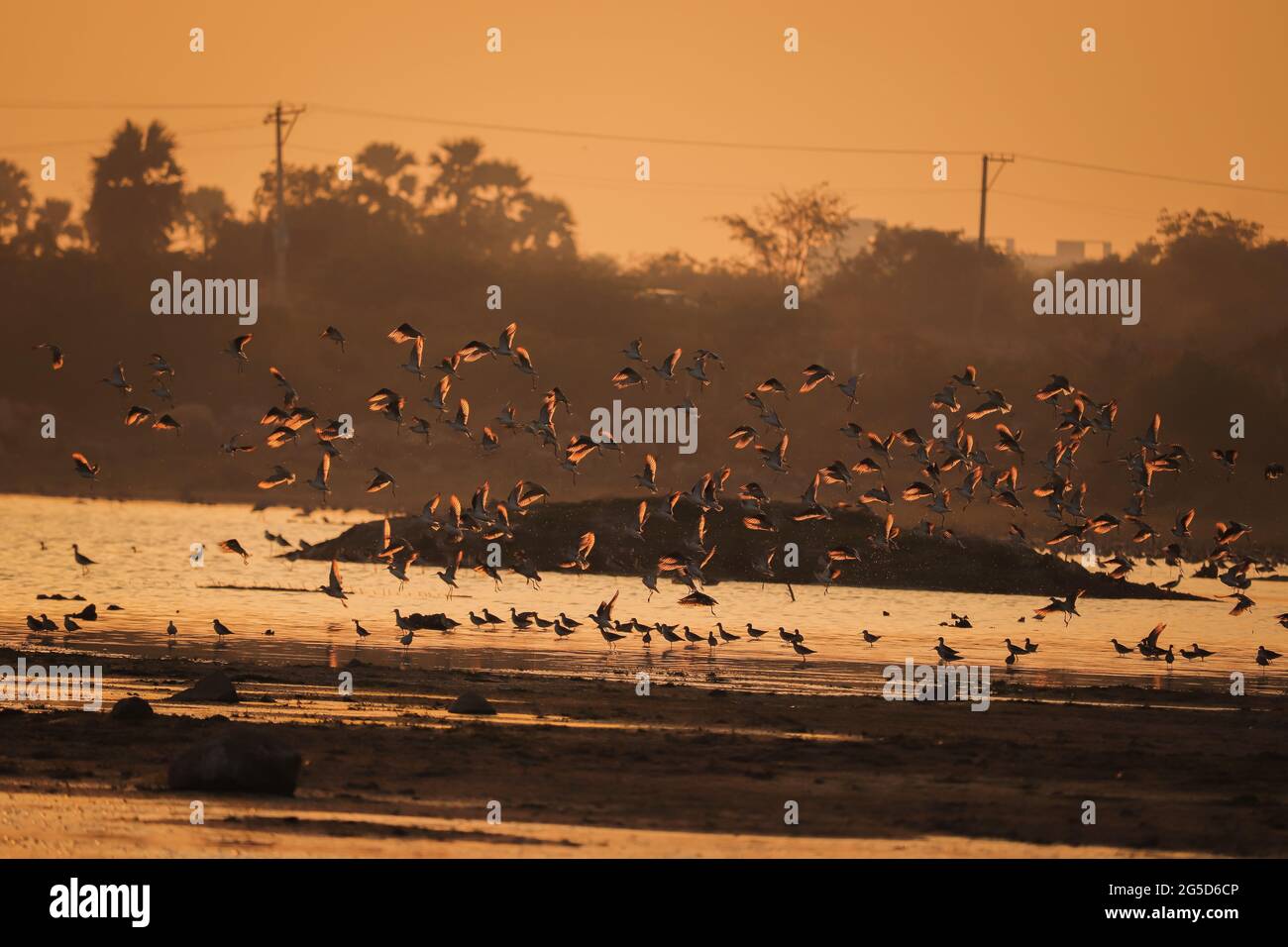 Birds eye view sea hi-res stock photography and images - Alamy