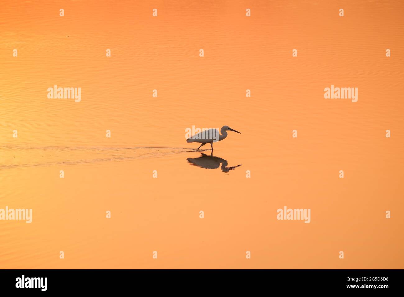 Birds eye view sea hi-res stock photography and images - Alamy