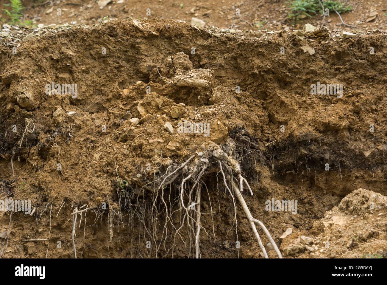 destroyed layers of lithosol soil with visible sediments on black layer ...