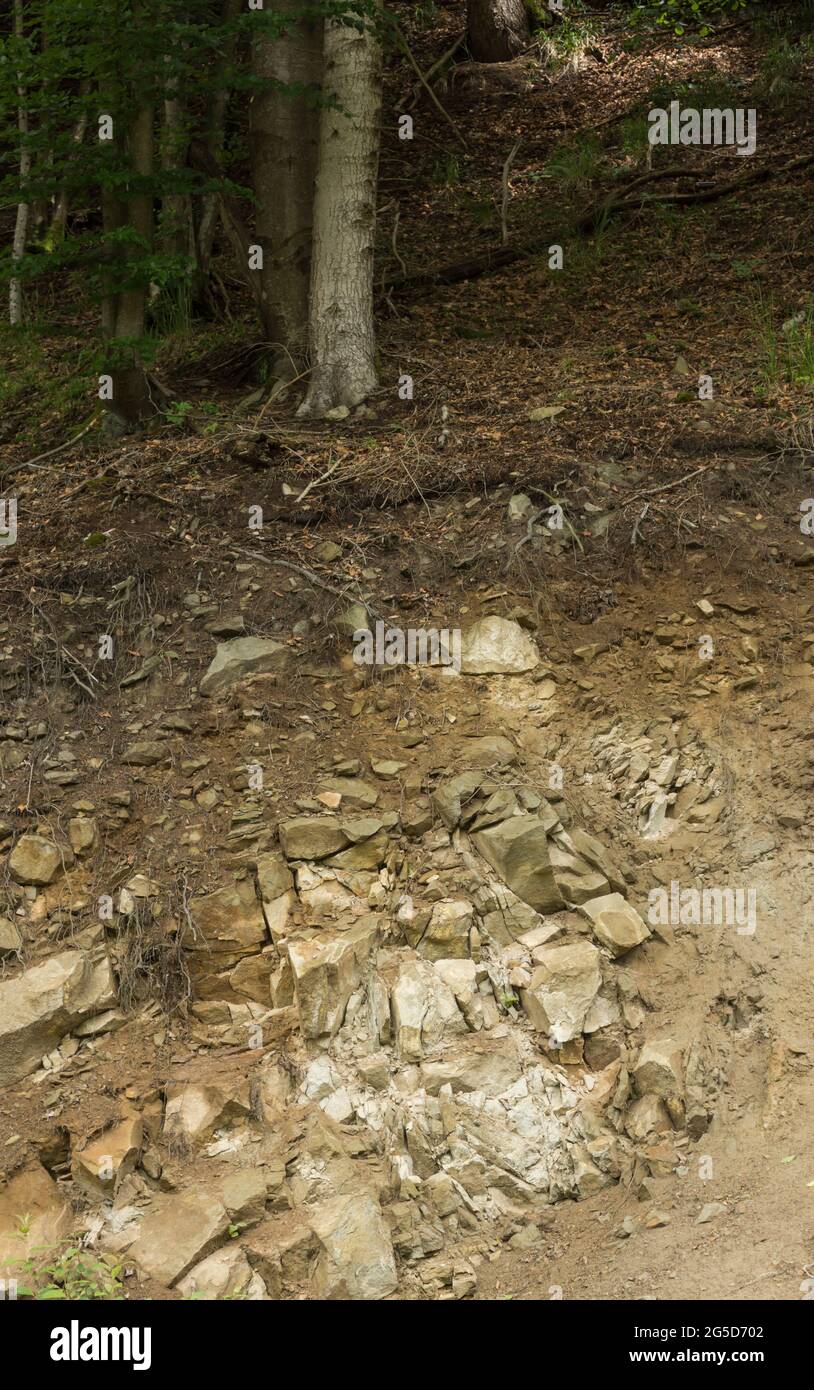 visible layers of lithosol type soil in Bieszczady Mountains Stock ...