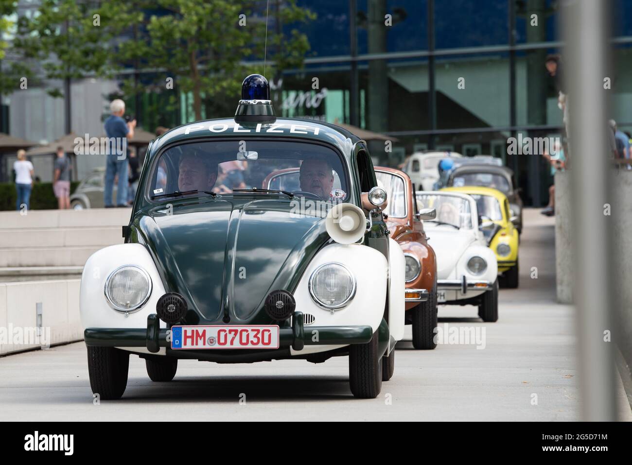 Different beetle types hi-res stock photography and images - Alamy