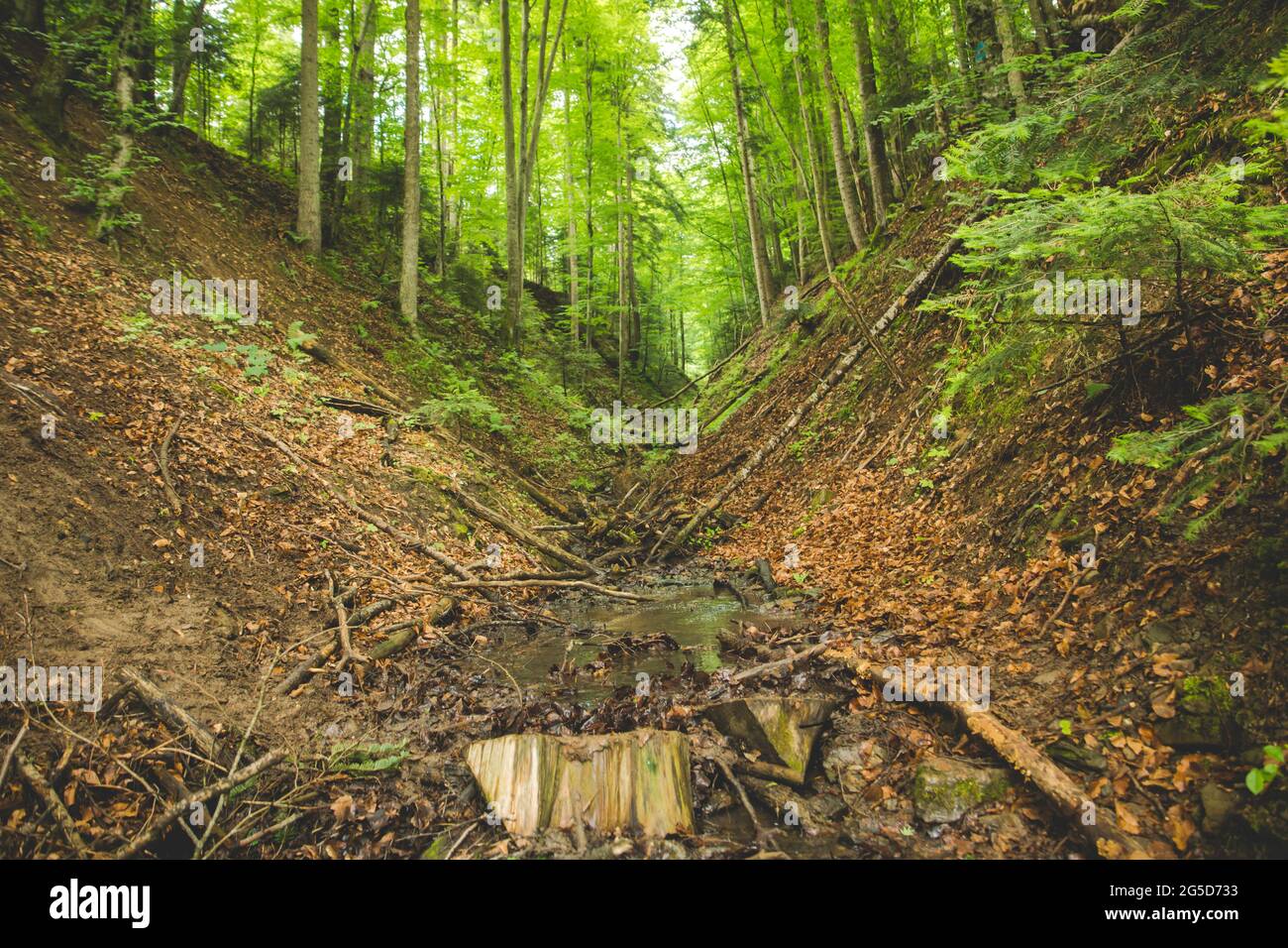 V shaped valley hi-res stock photography and images - Alamy