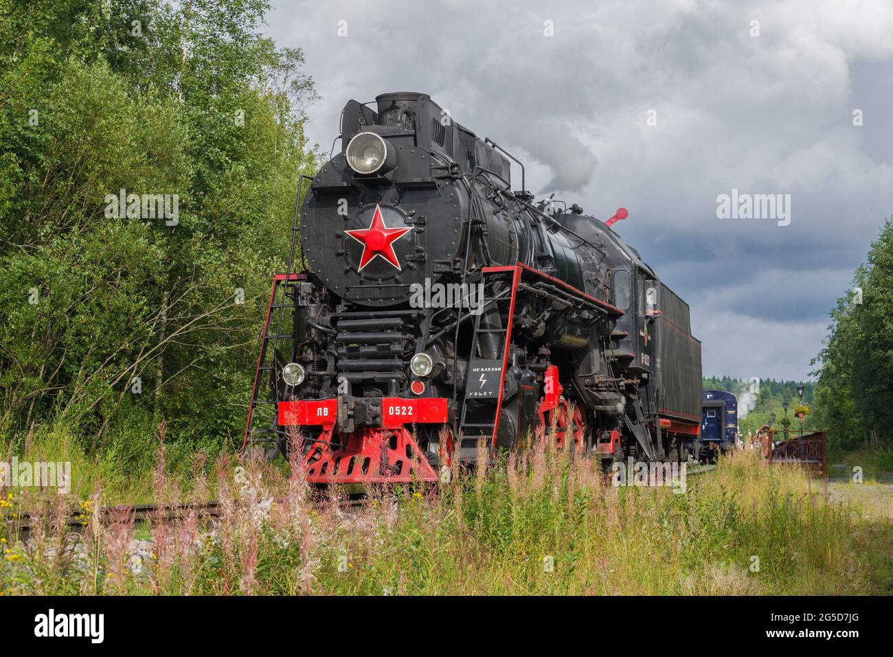 15 day old hi-res stock photography and images - Alamy