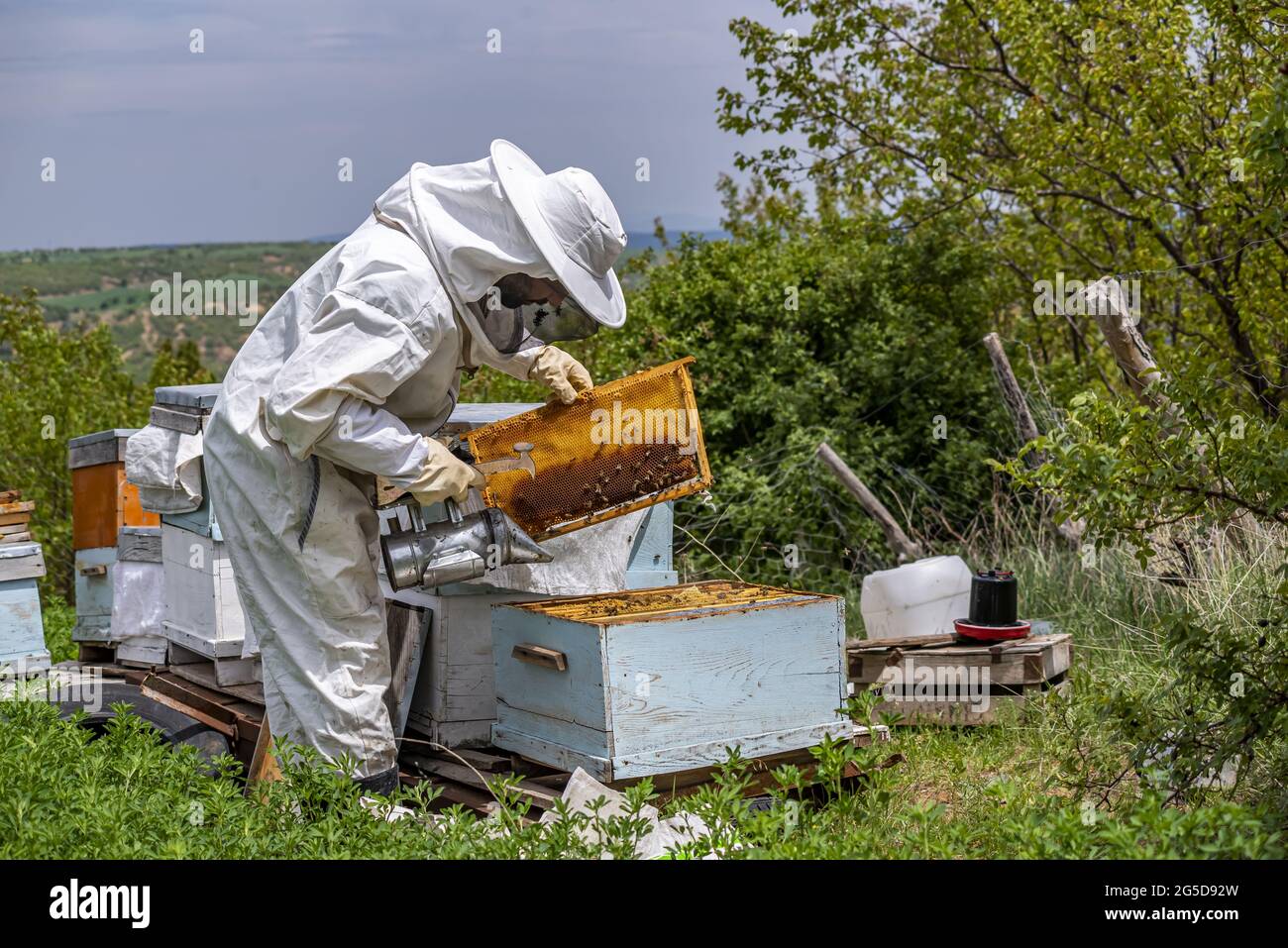 Beekeeper uniform hi-res stock photography and images - Alamy