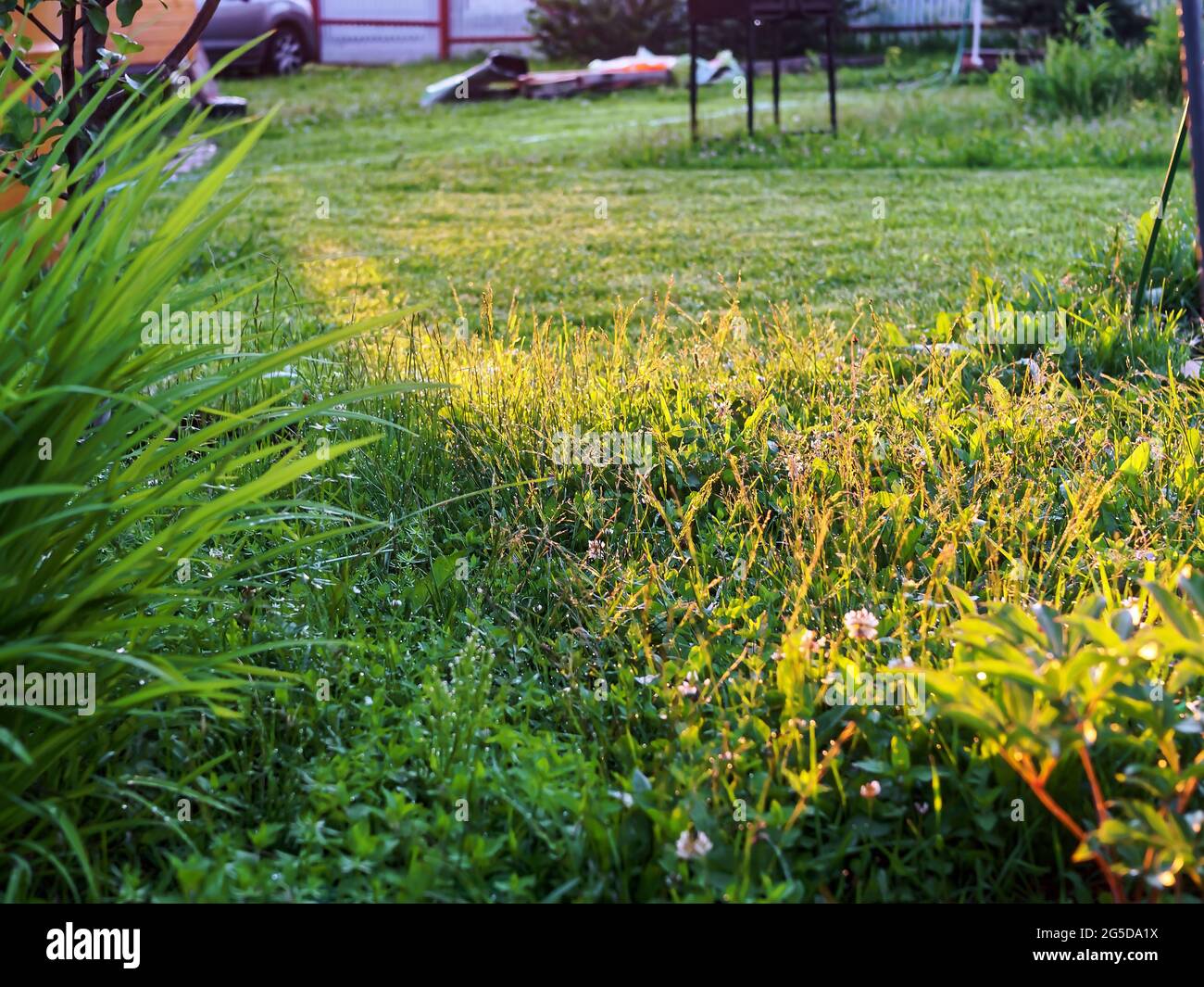 Garden sunset summer hi-res stock photography and images - Alamy