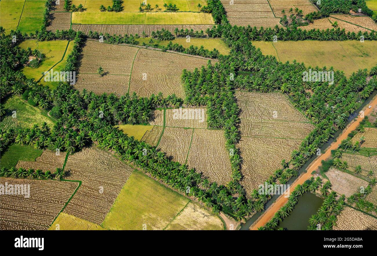 Kakinada, April 10,2007:,Aerial view showing harvested paddy fields ...