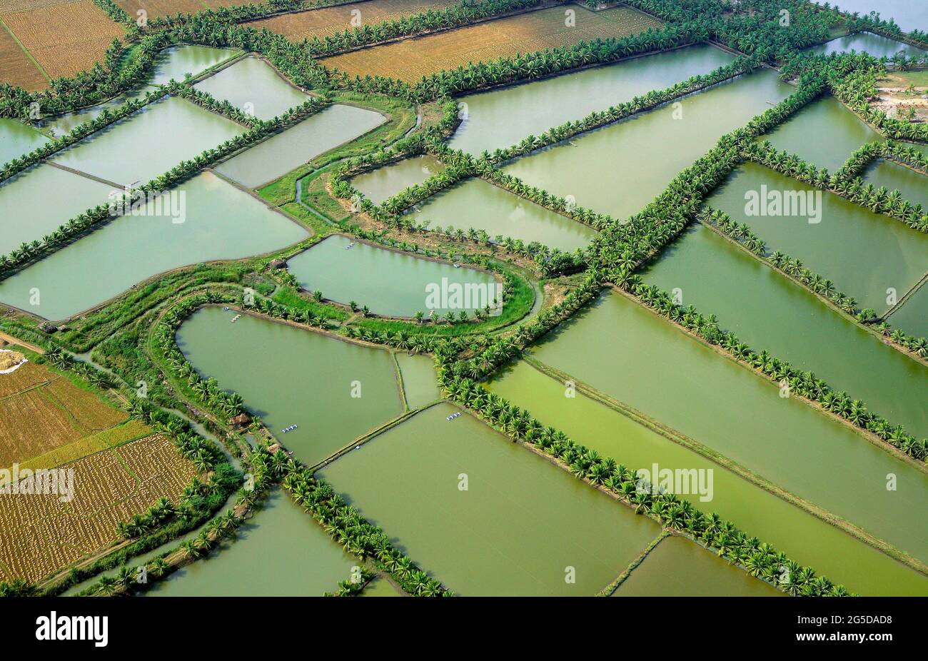 Agriculture rice paddy irrigation water hi-res stock photography and ...