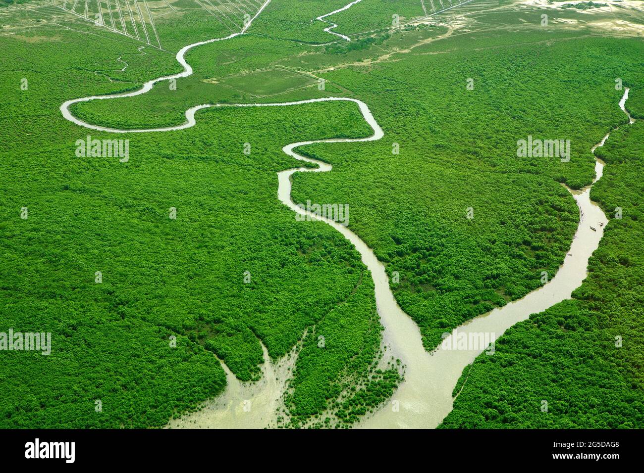Aerial view of green mangroves and Godavari River Delta touching Bay of ...