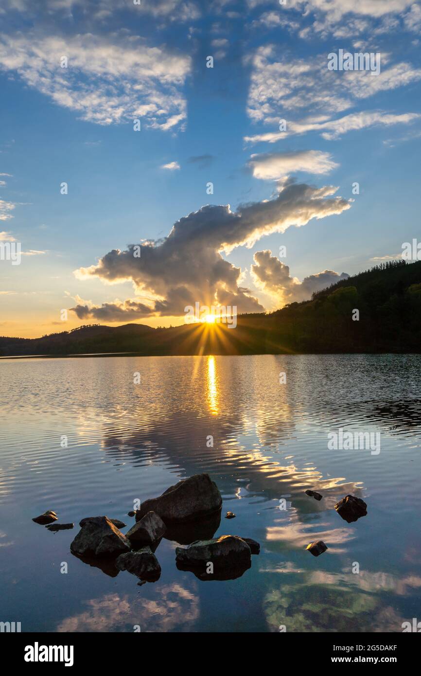 Castlewellan lake and forest park hi-res stock photography and images ...