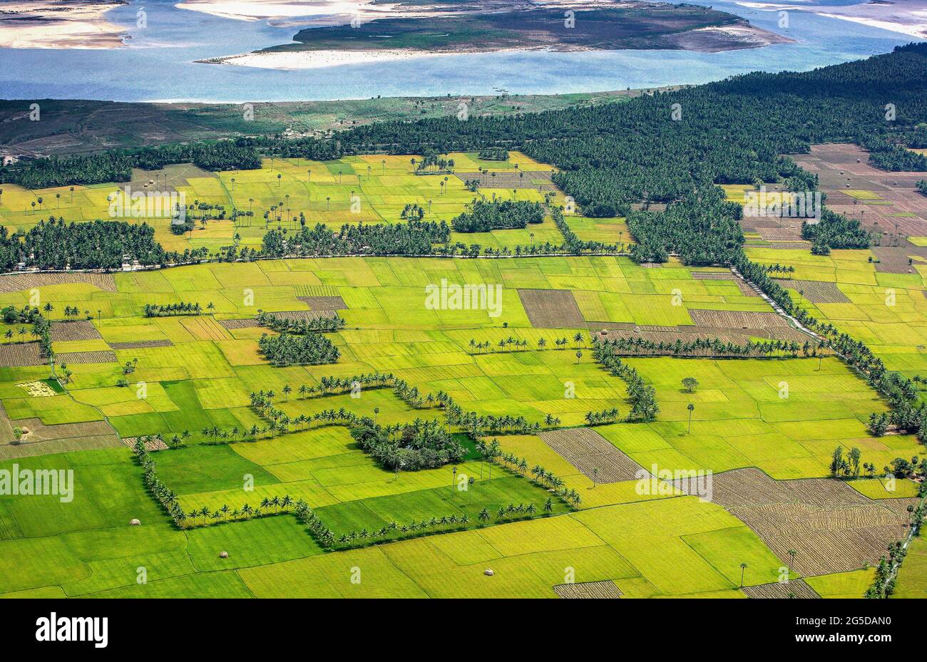 Kakinada, April 10,2007:Aerial view of paddy ,rice fields and coconut ...