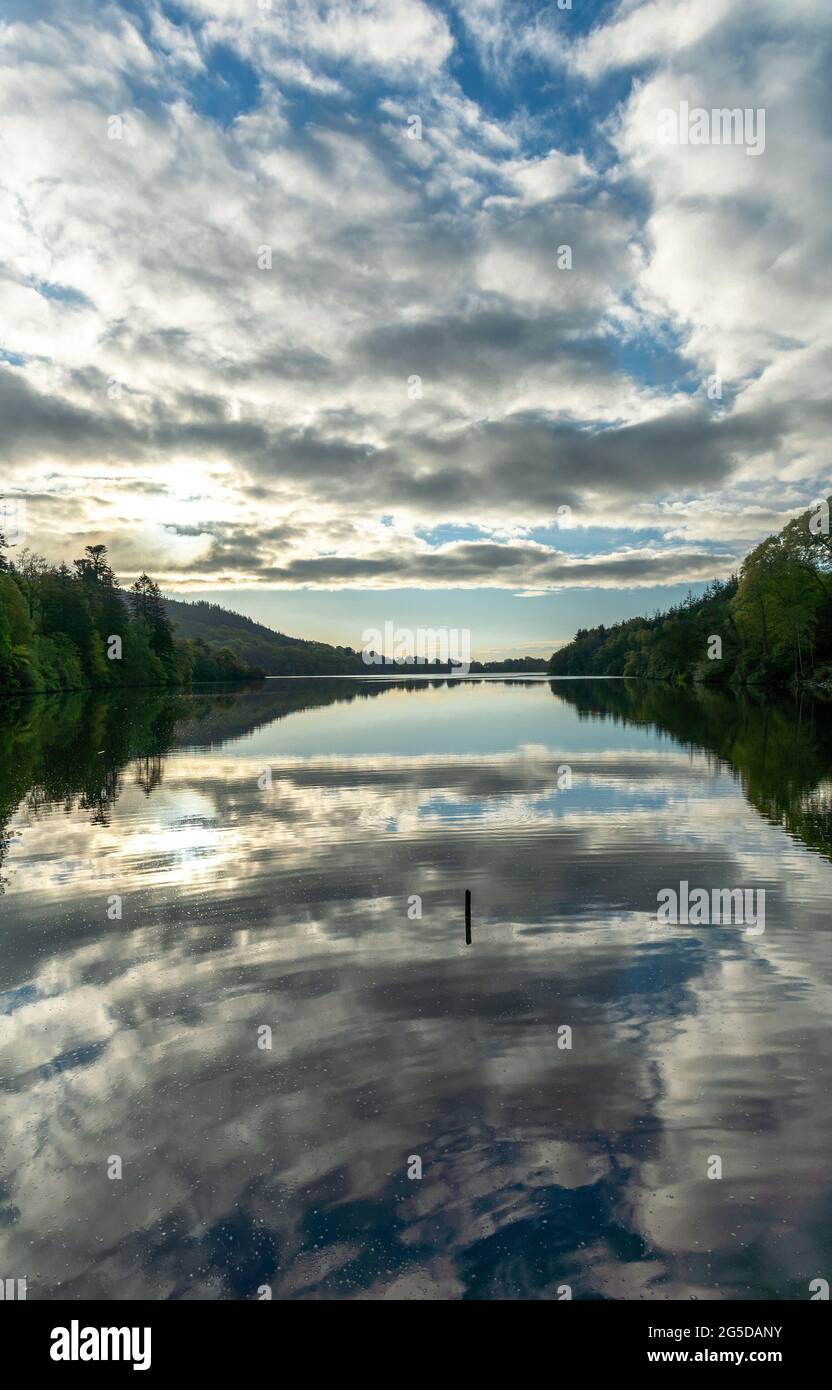 Castlewellan lake and forest park hi-res stock photography and images ...