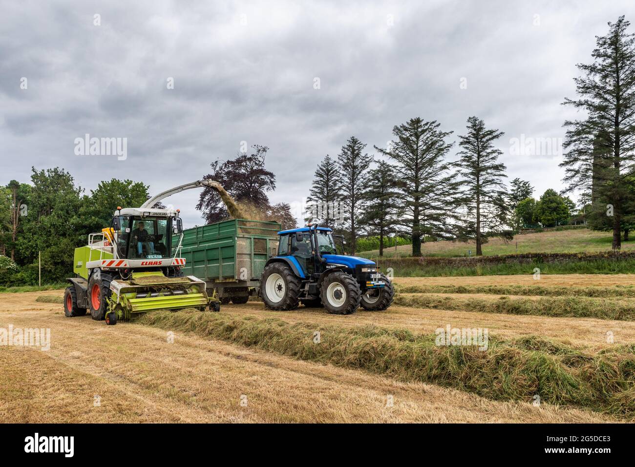 Timoleague, West Cork, Ireland. 26th June, 2021. Silage contractor Drew ...