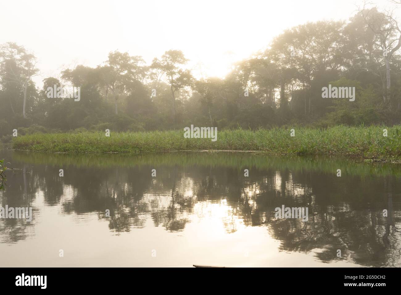 Fog in the amazon river hi-res stock photography and images - Alamy