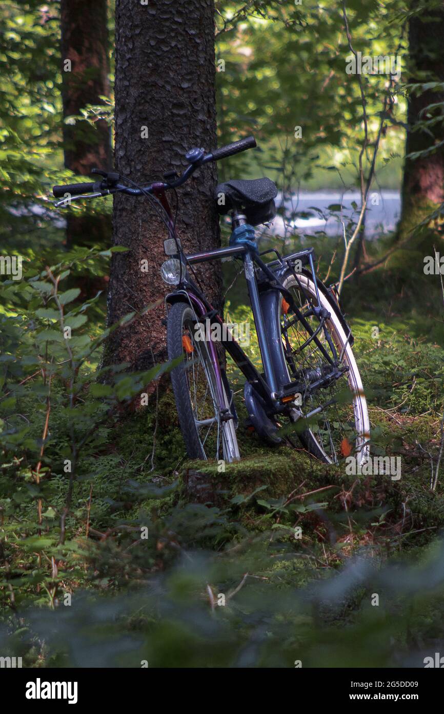 Vertical shot of a bicycle leaning against a tree in a lush green ...