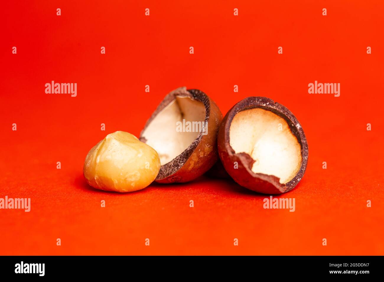 shell and kernel of macadamia nut close-up background Stock Photo - Alamy