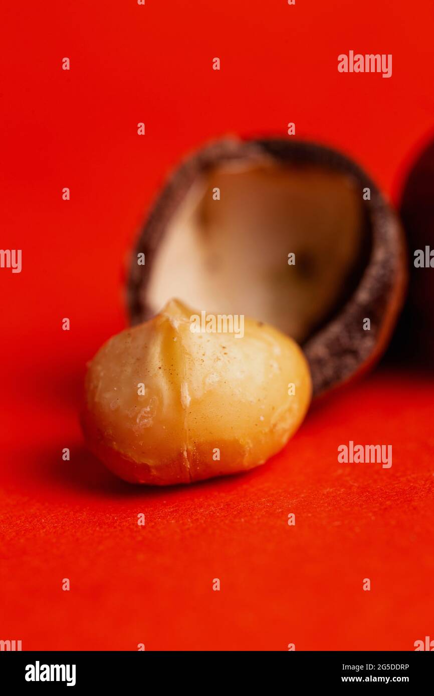 shell and kernel of macadamia nut close-up background Stock Photo - Alamy