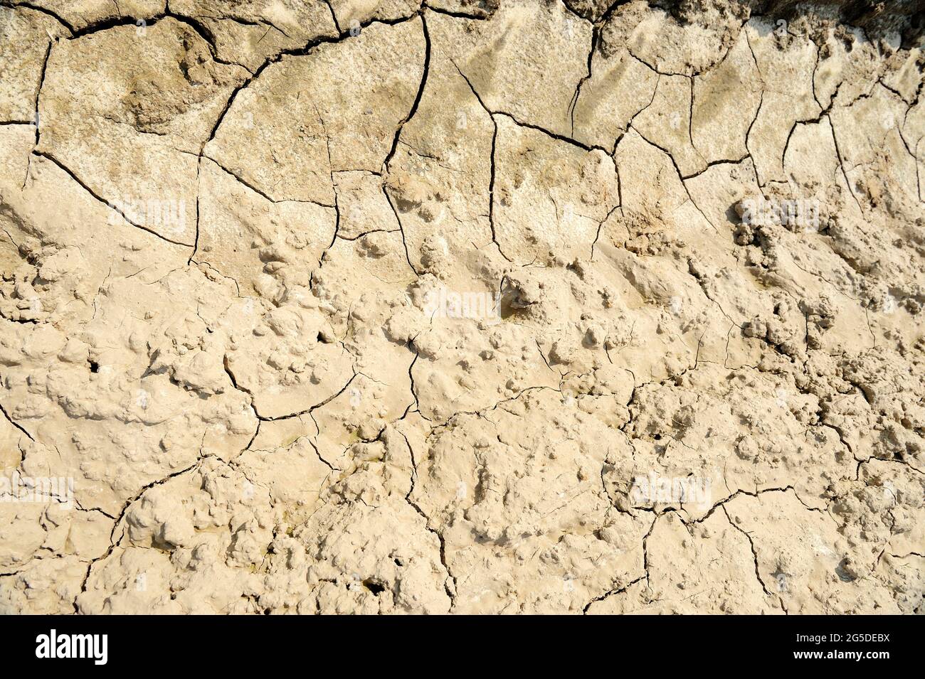 agriculture, blue, bright, colorful, colors, commercial, countryside ...