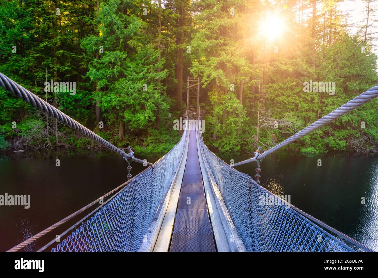 View of Suspension Bridge over the water in Green and Vibrant Rain ...