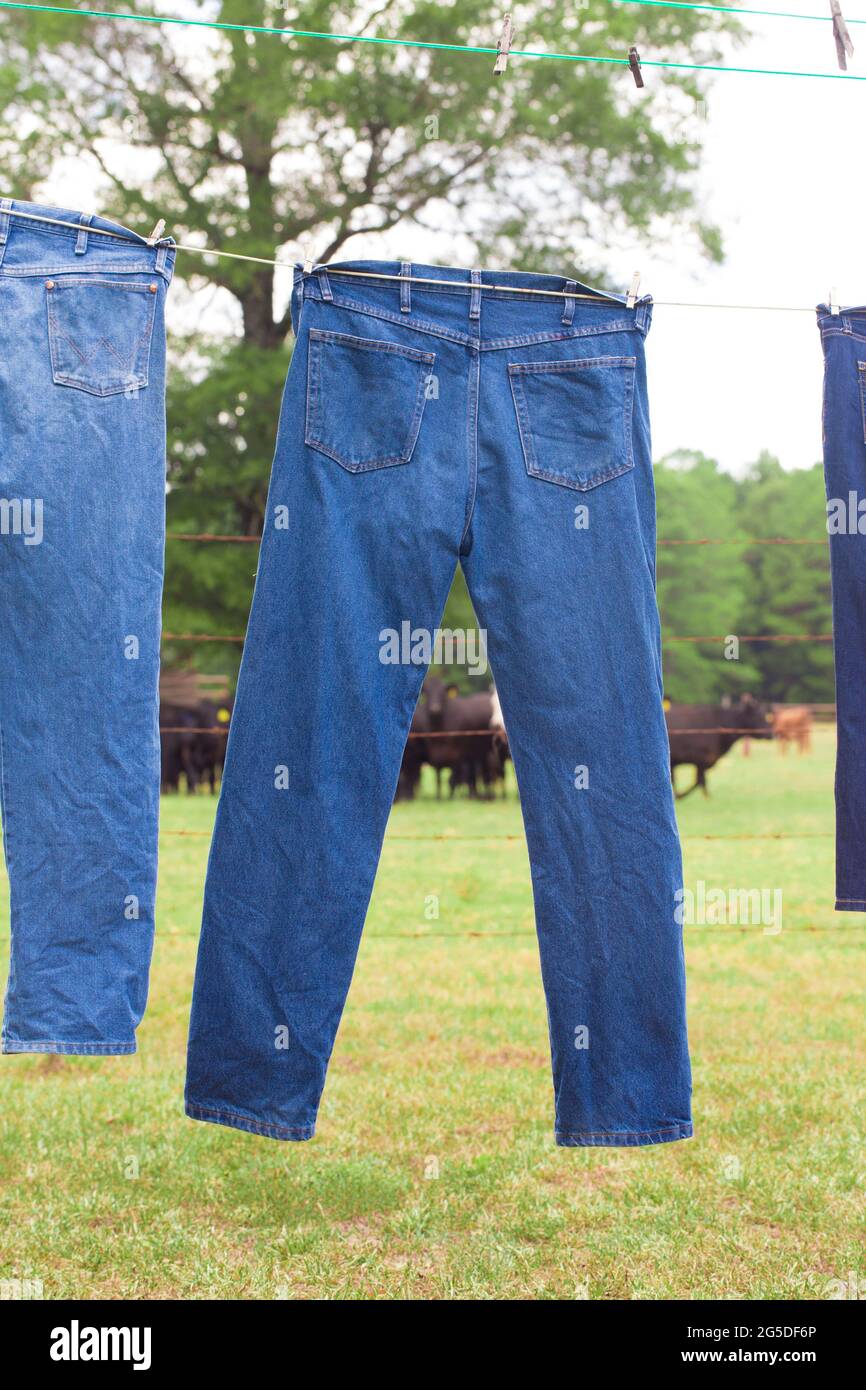 Blue jeans drying hi-res stock photography and images - Alamy